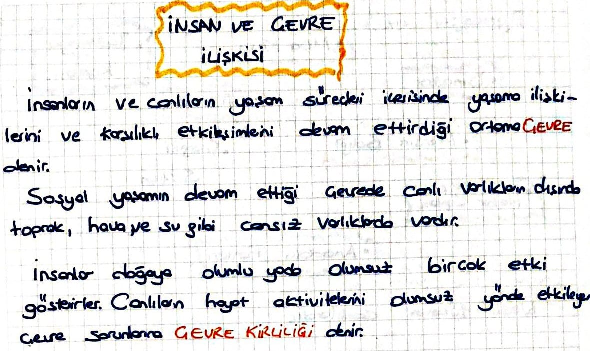 İnsan ve Çevre - Fen Bilimleri LGS Ders Notları - Kunduz - Kunduz