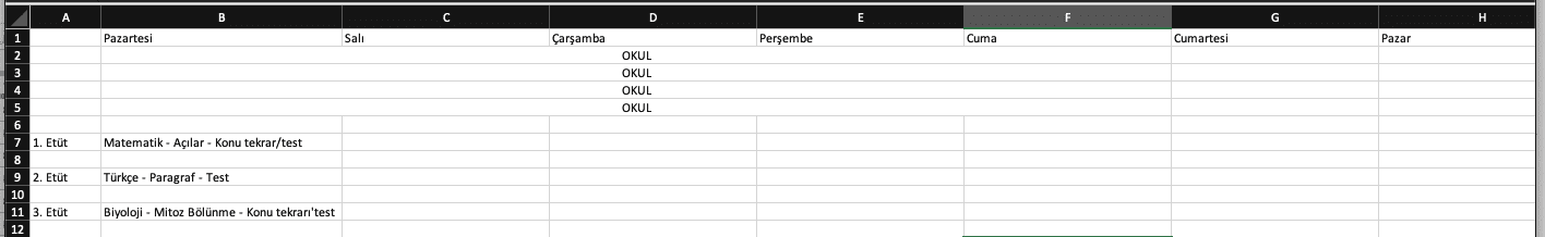 Kişiye Özel Ders Çalışma Programı - Haftalık Program Hazırlama - Kunduz ...